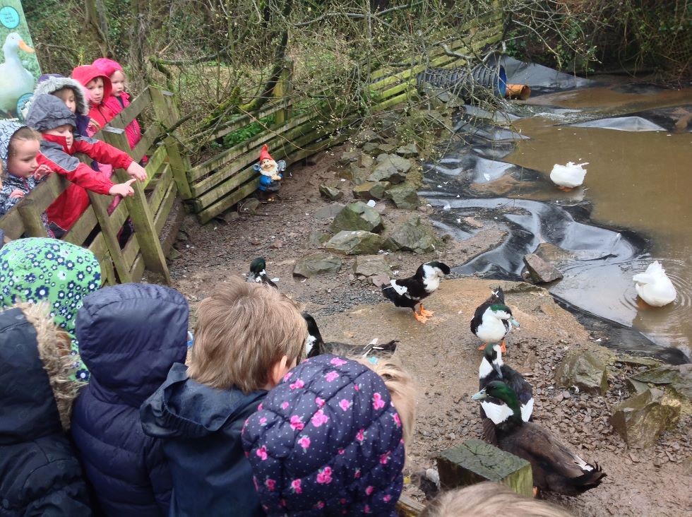 A Visit to Streamvale Farm